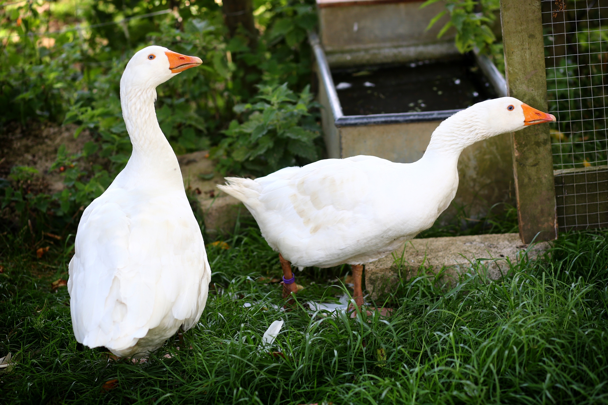 The Warriner School - Home